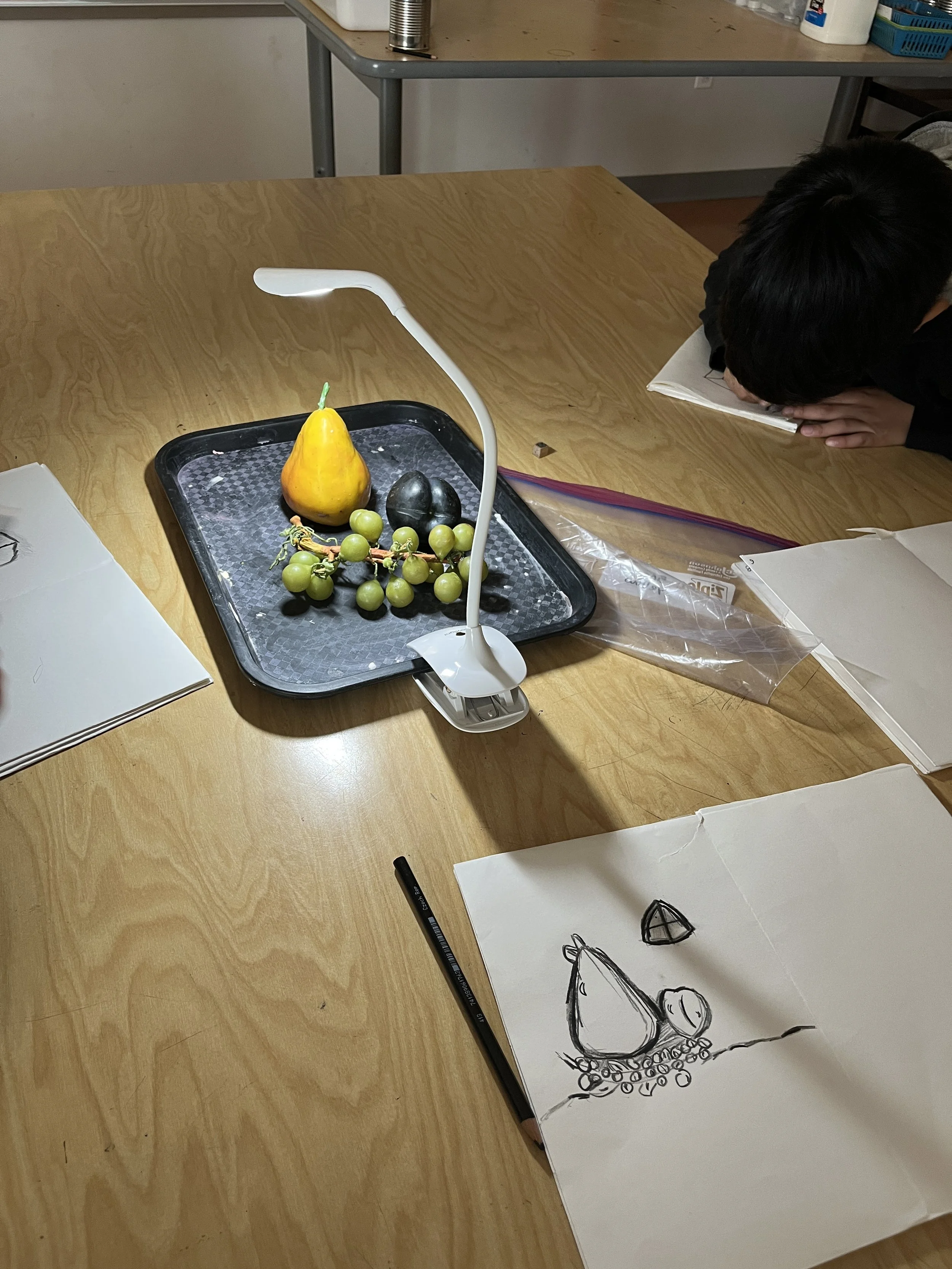 Observational Drawing with Upper Elementary Students — Yael Bloom