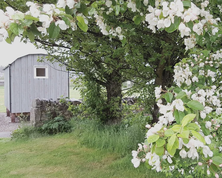 Luxury, Bespoke Shepherds Huts & Cabins for Sale from the Highlands ...