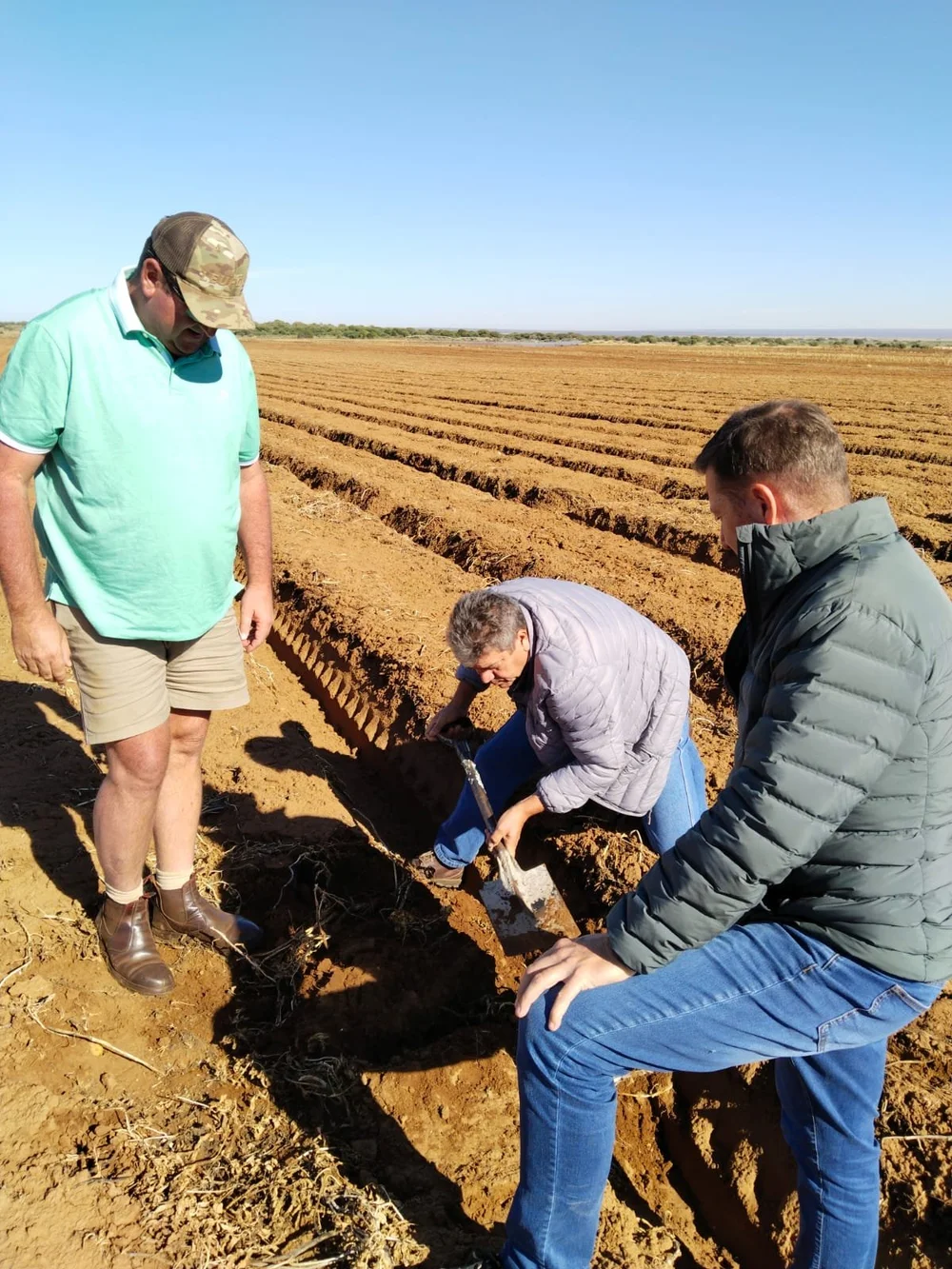 About Us | Learn More Today — Farmwise Marketing