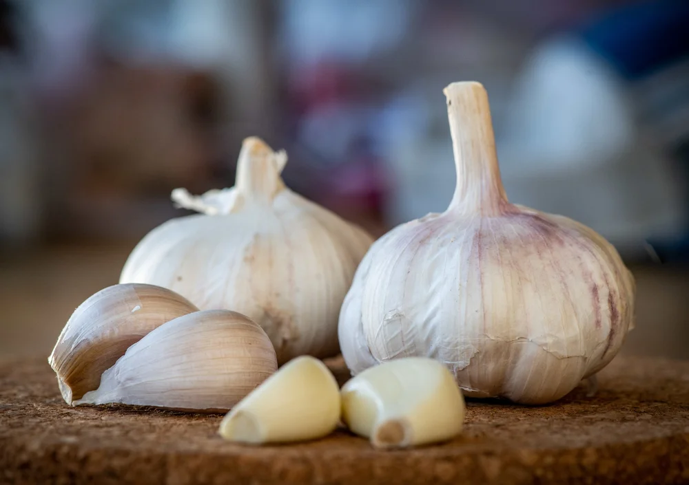 Farmwise Marketing | Discover Fresh Produce Today