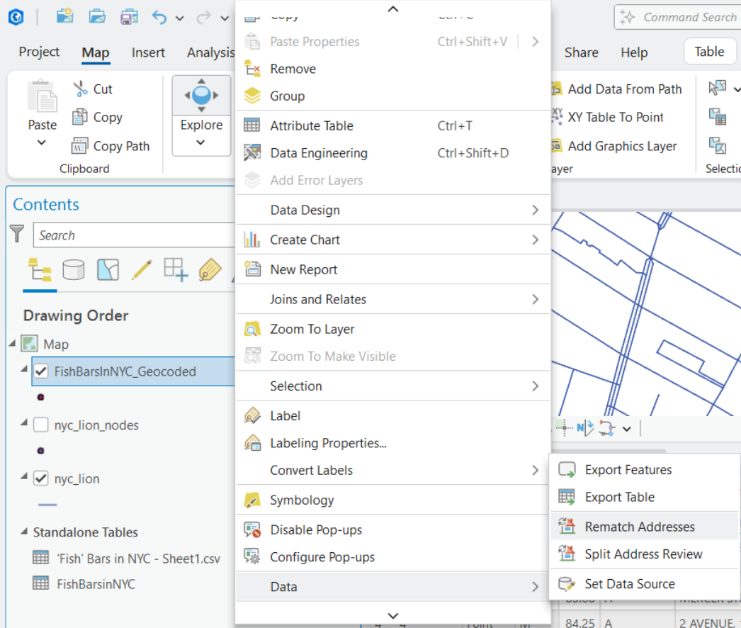 Geocoding by Polygons in ArcGIS Pro — mapping 101