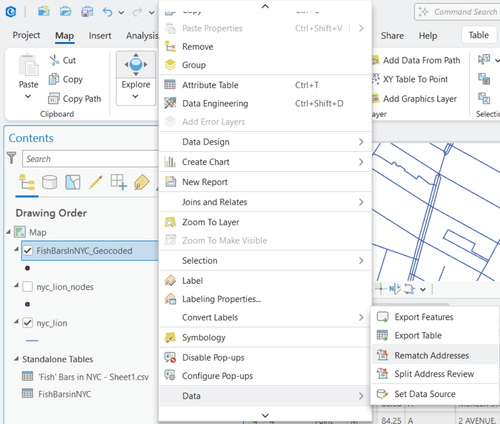 Geocoding by Polygons in ArcGIS Pro — mapping 101