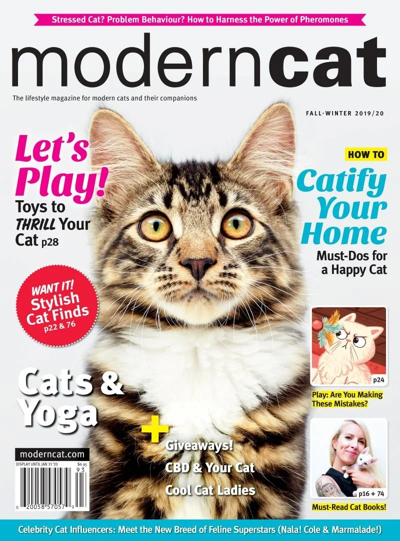 Modern Cat Magazine (2-Year Term) | Everything for Cat Lovers ...