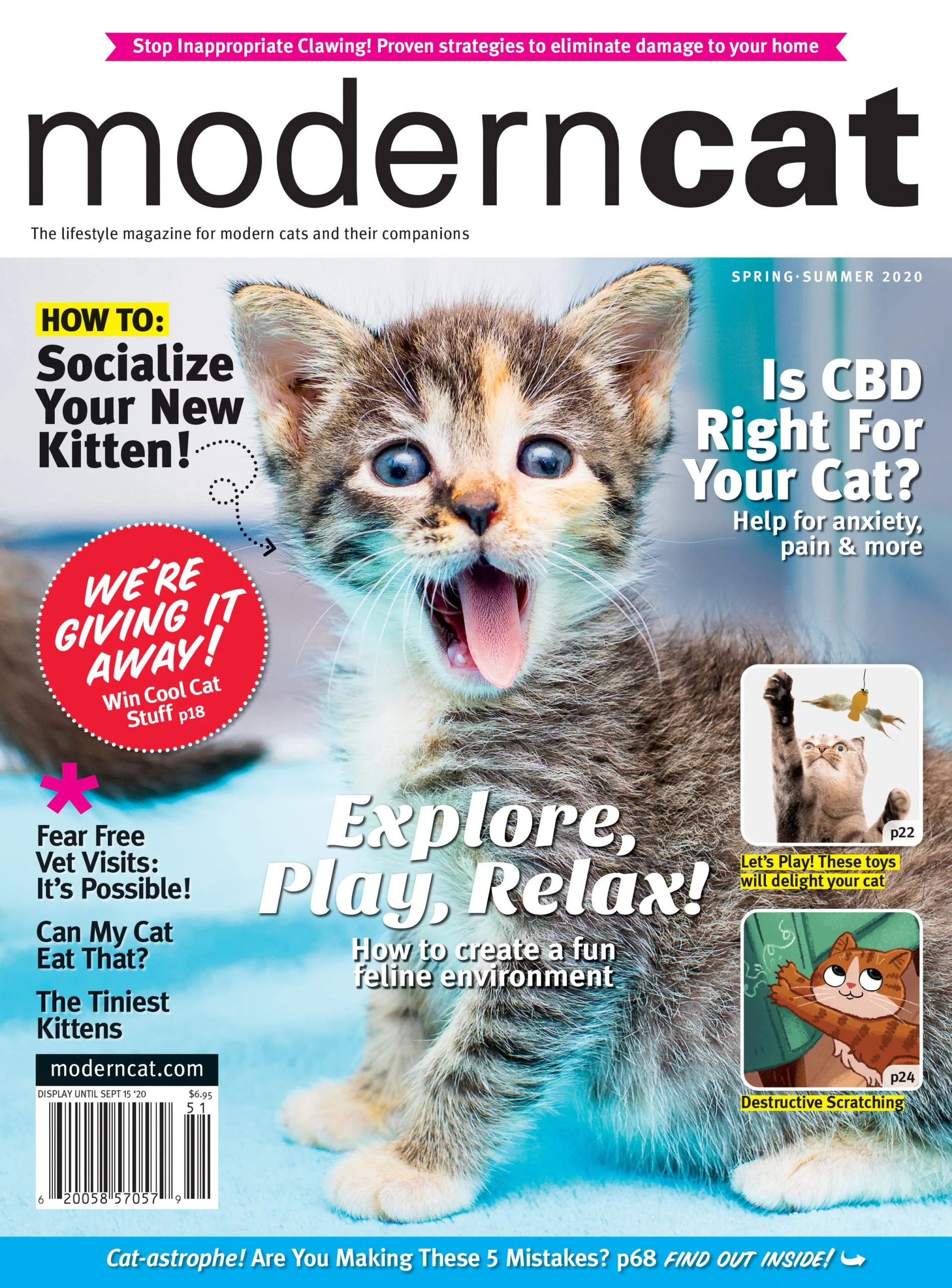 Modern Cat Magazine (2-Year Term) | Everything for Cat Lovers ...