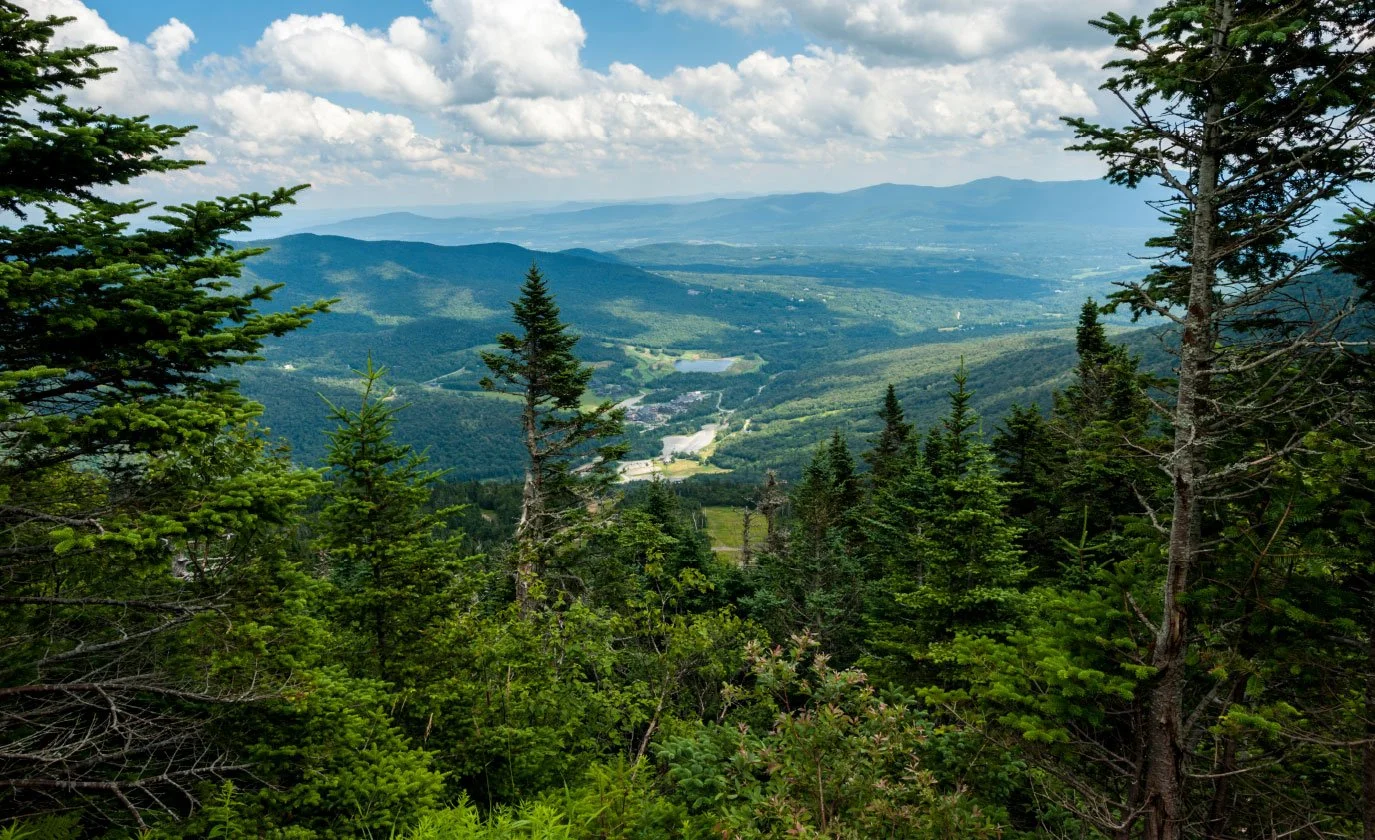 About — Evergreen Service