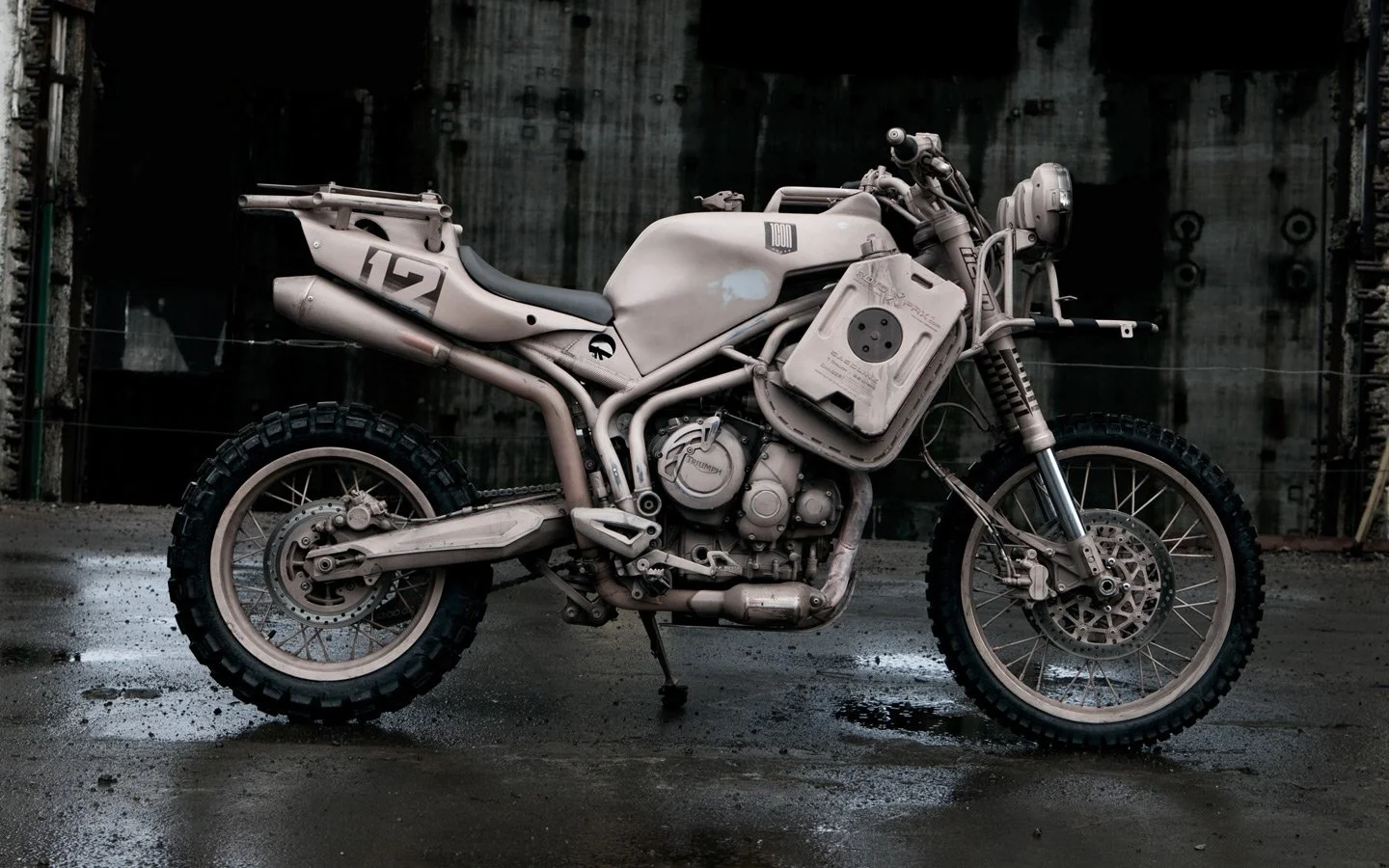 DROMEDARII — Ride Icon