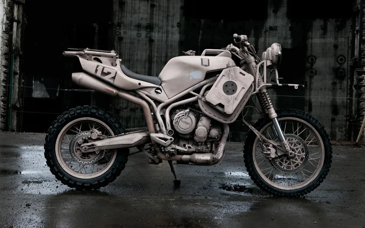DROMEDARII — Ride Icon