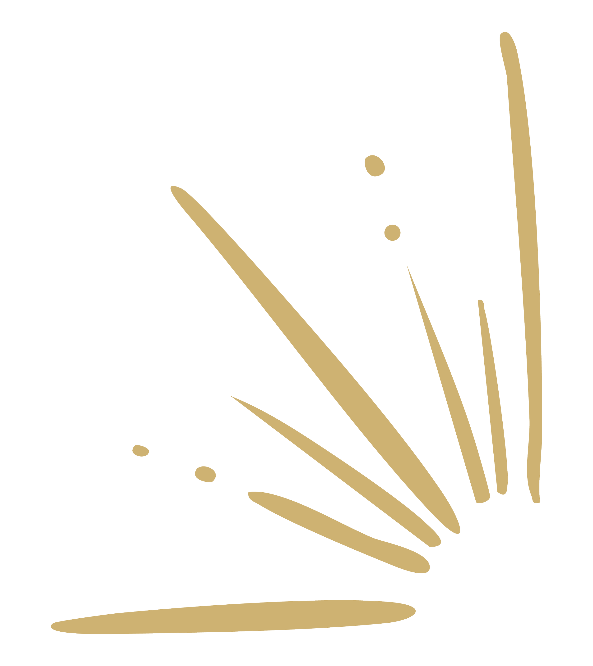 Dreamtech: Your Tech BFF