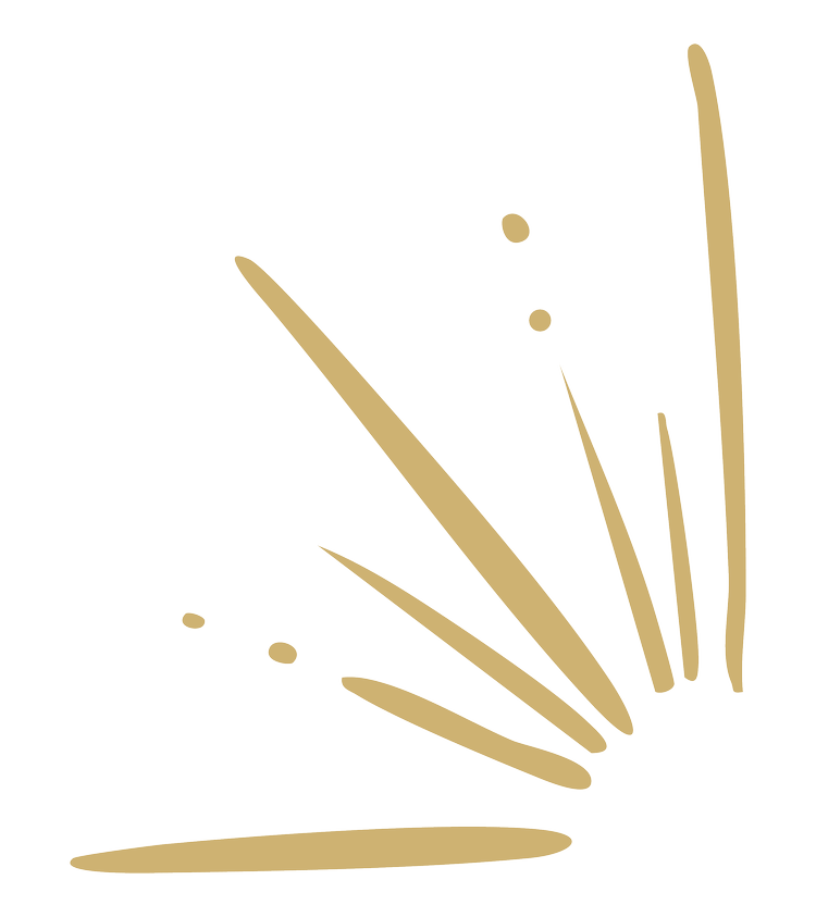 Dreamtech: Your Tech BFF