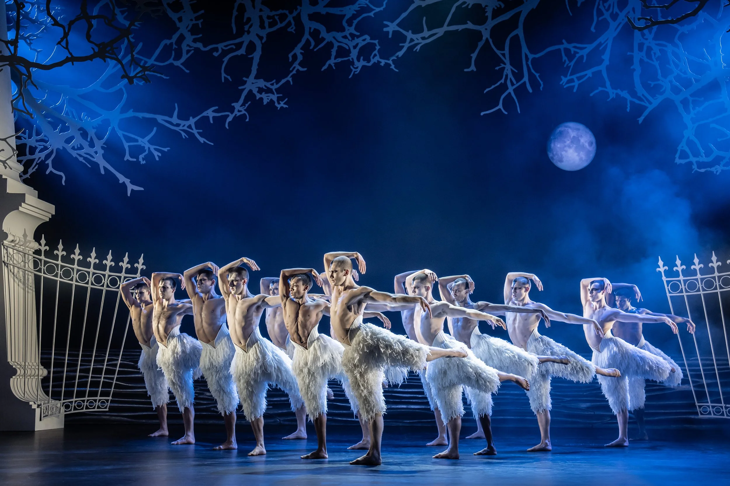 Swan Lake, New Adventures | Dance Review — Like Nobody's Watching