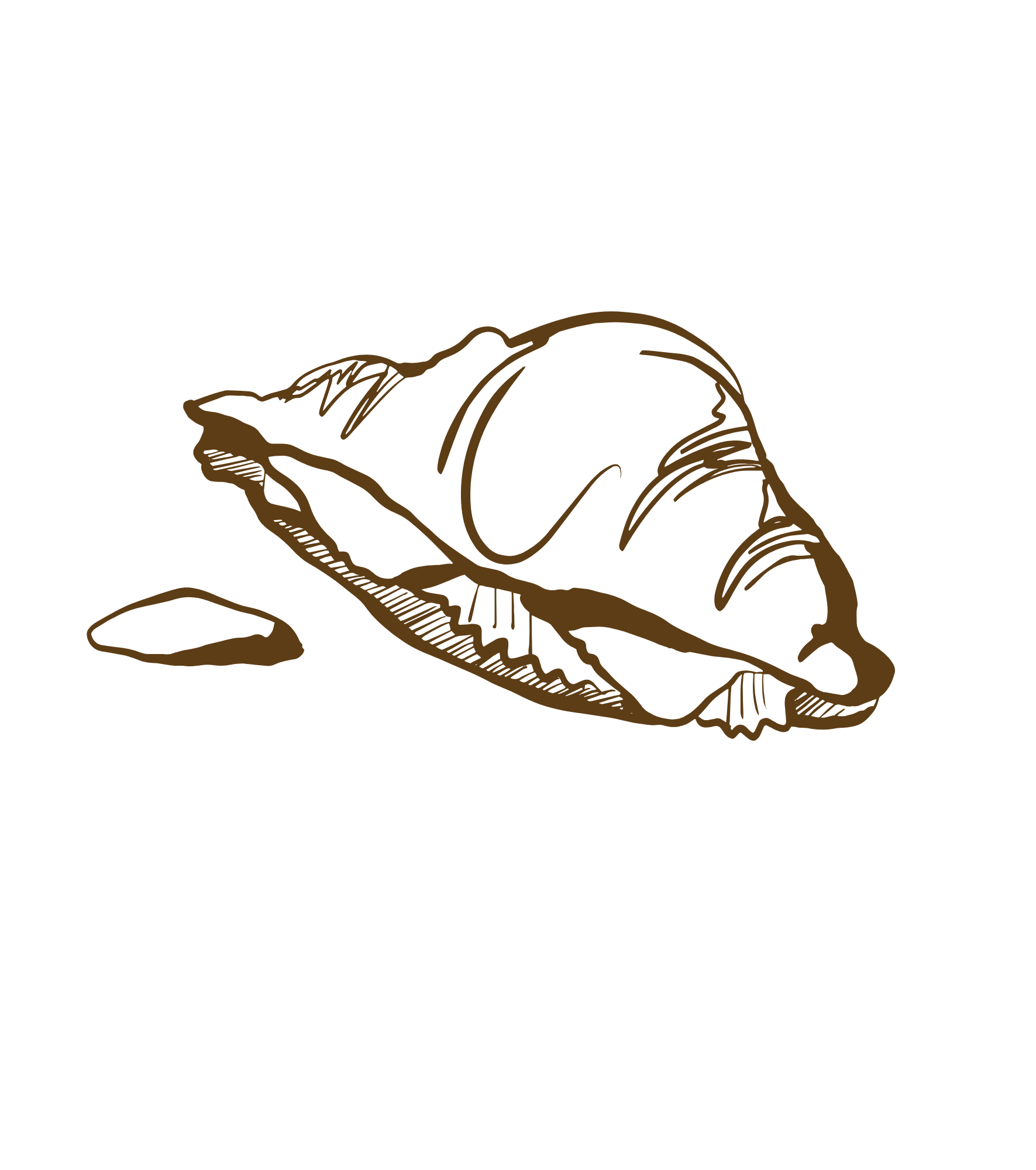 Franchise — Eggstatic