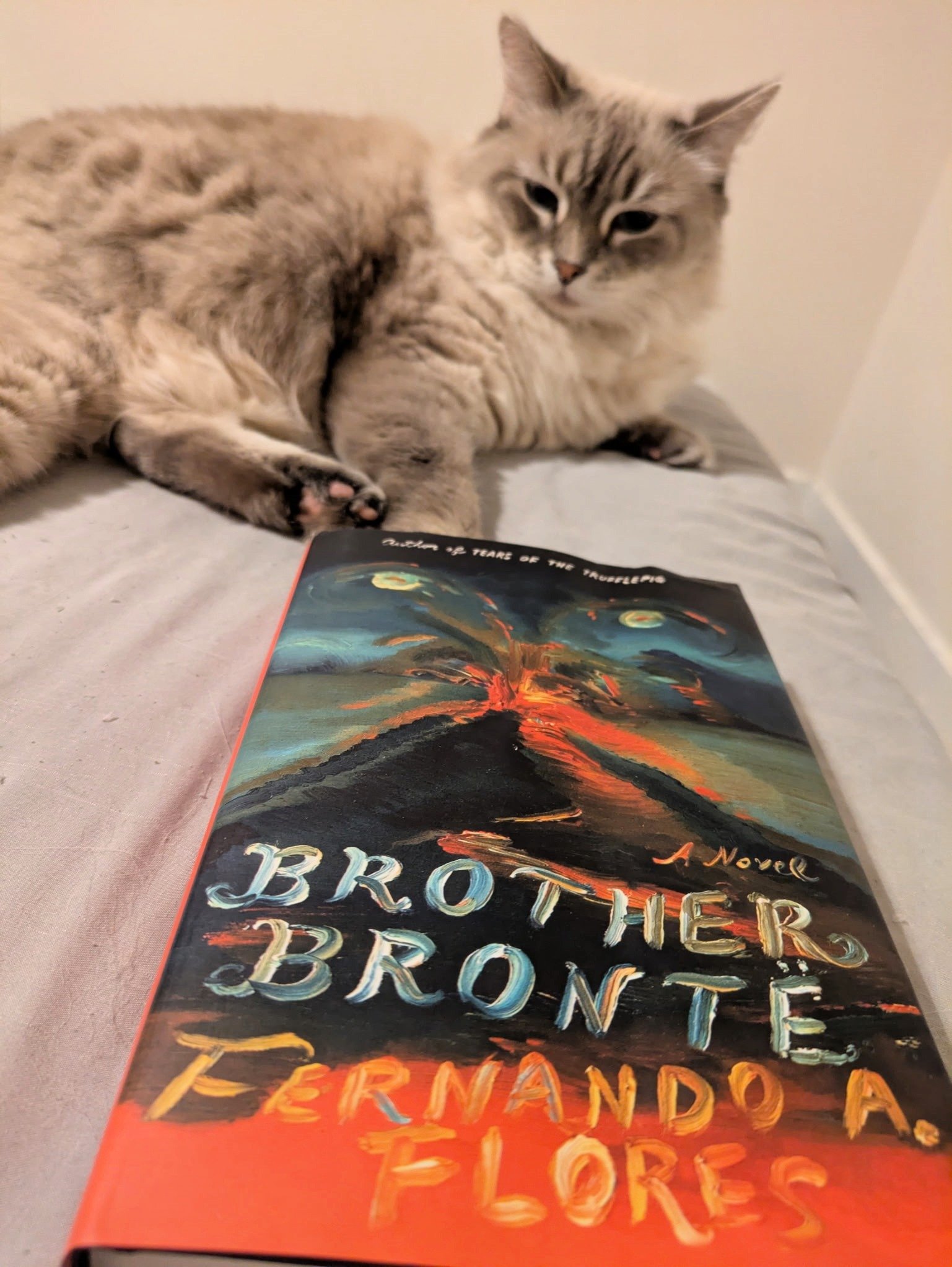 Brother Brontë: Dystopia or Hyperbolic Reality? — Flak Magazine