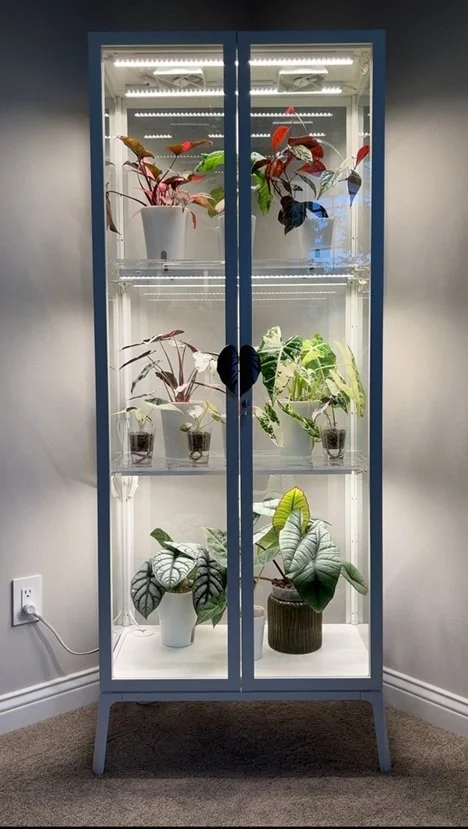 DIY Indoor Greenhouse Cabinets | Botanically Insane