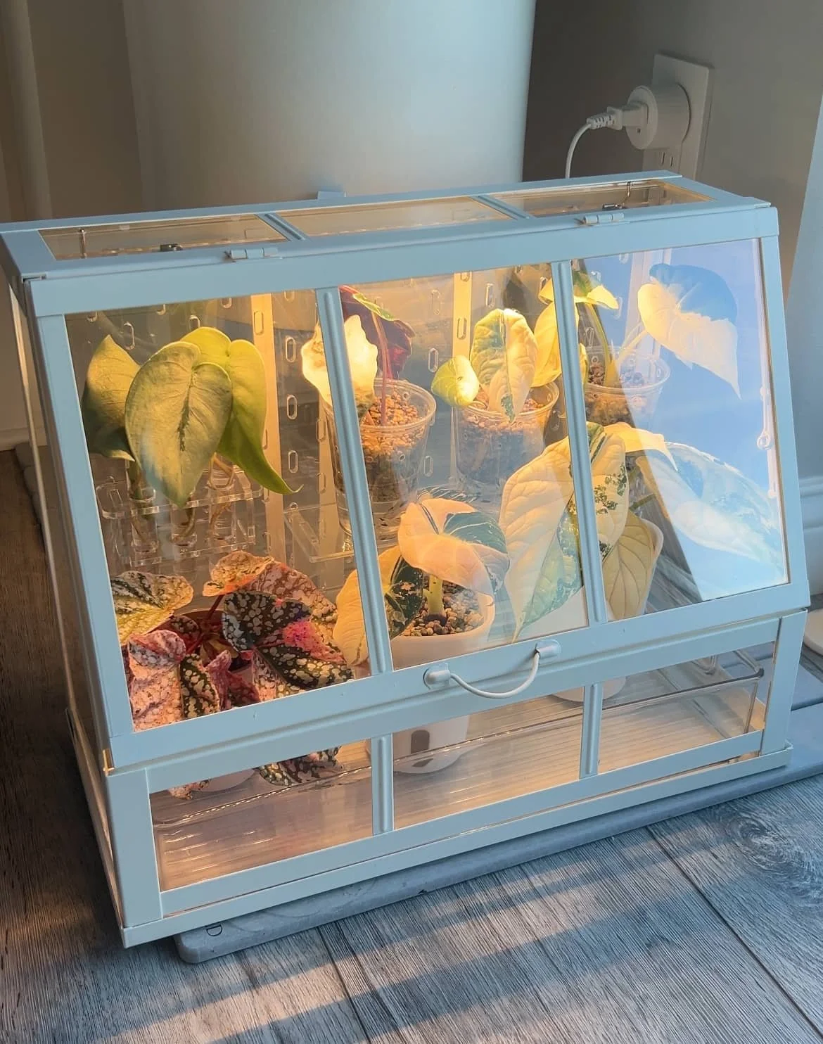 DIY Indoor Greenhouse Cabinets | Botanically Insane