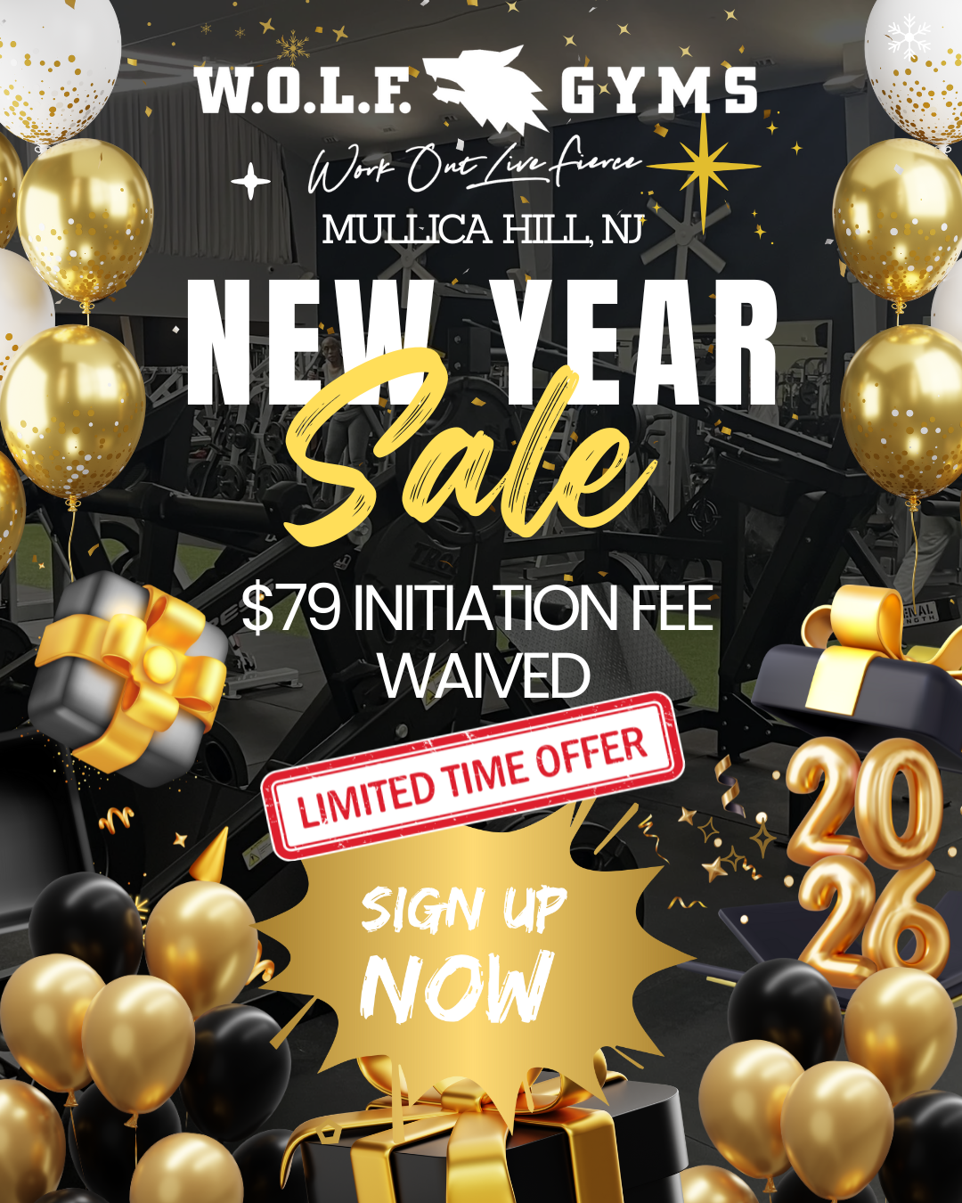 WOLF Fitness Mullica Hill