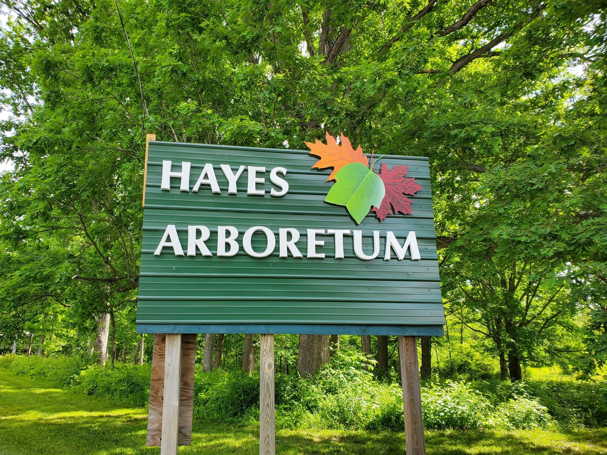Mission & History — Hayes Arboretum