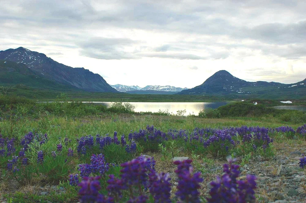 Copper River Valley Alaska