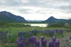 Copper River Valley Alaska