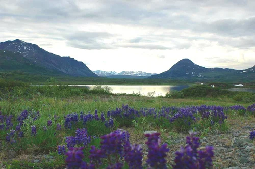 Copper River Valley Alaska