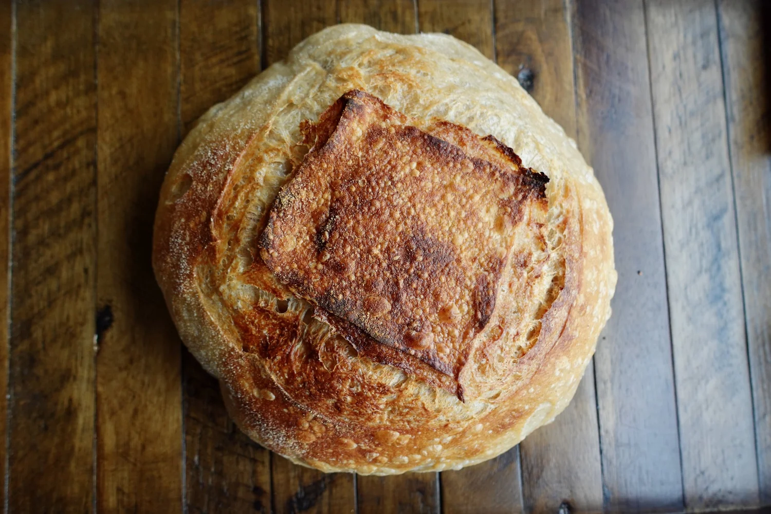 Petite Crumb Bakeshop