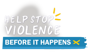 VetoViolence — Banyan Communications