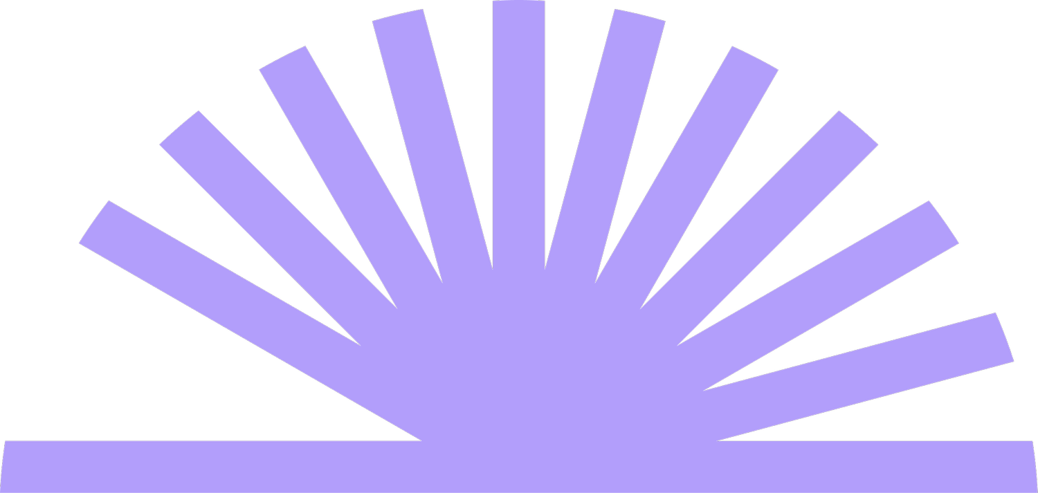VetoViolence — Banyan Communications