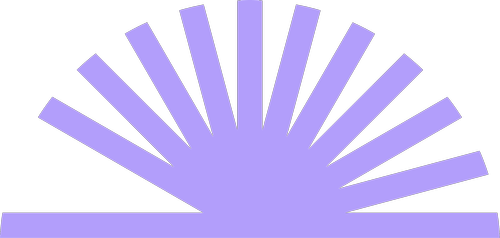VetoViolence — Banyan Communications