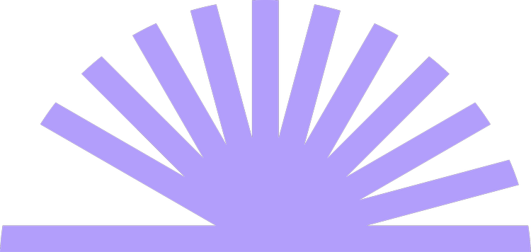 VetoViolence — Banyan Communications