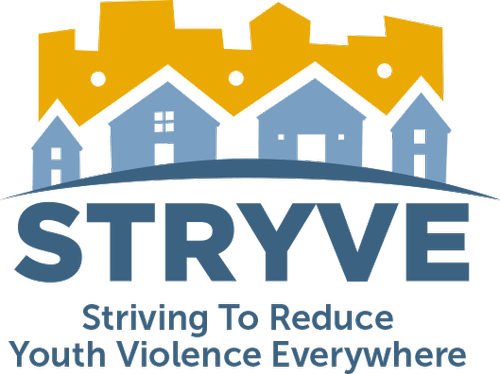 VetoViolence — Banyan Communications