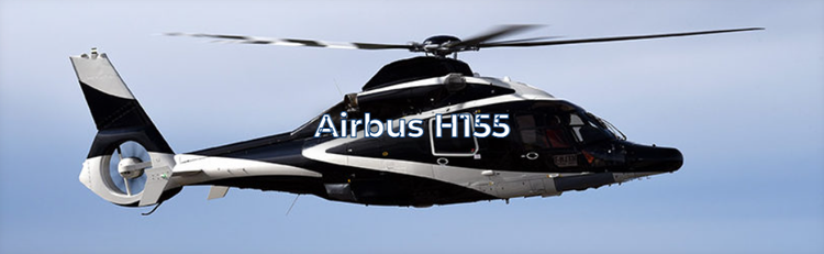 The Ultimate Utility Helicopter Comparison — Skycore Aviation