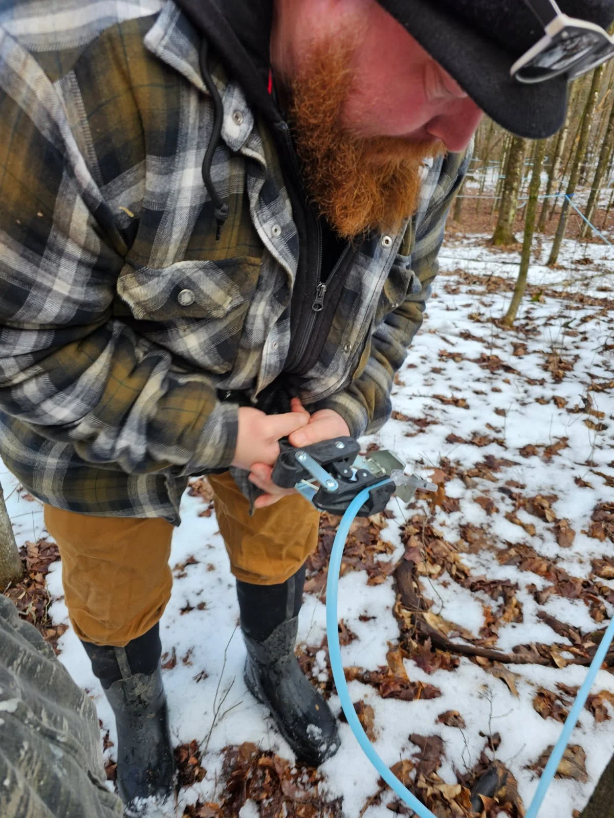 Maple Products — Holley Hill Farms