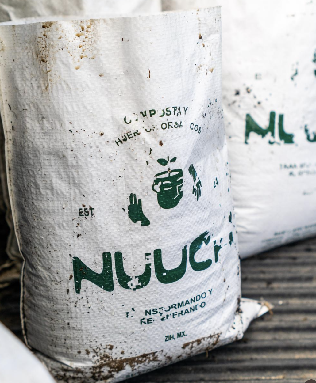Servicios — Nuuch