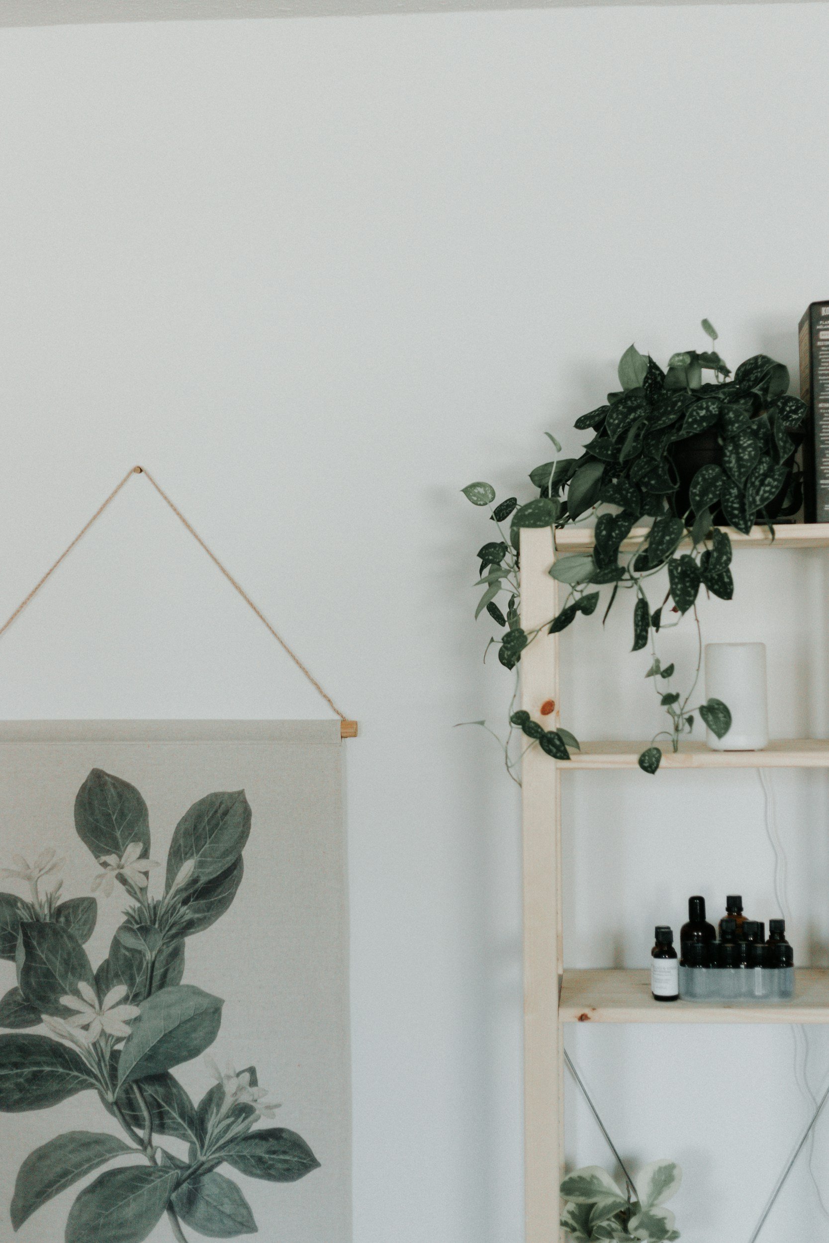 The WOMB Milton | Holistic Family Health & Wellness in Milton, Ontario