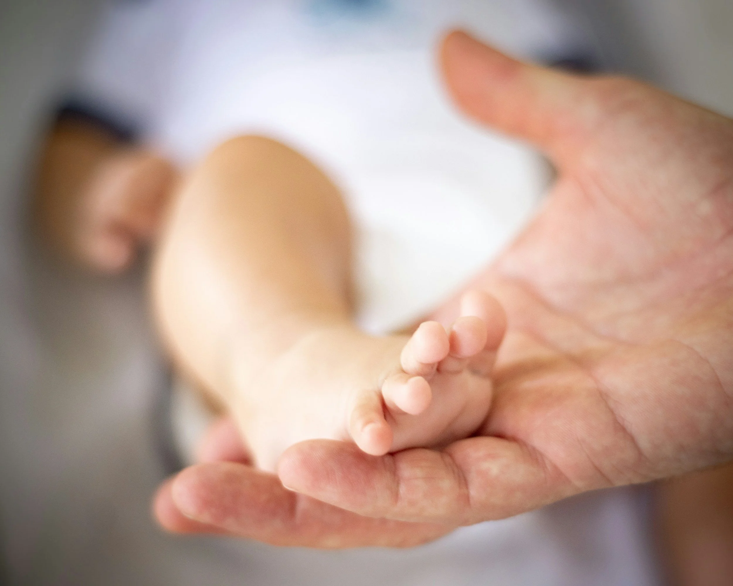 The WOMB Milton | Holistic Family Health & Wellness in Milton, Ontario