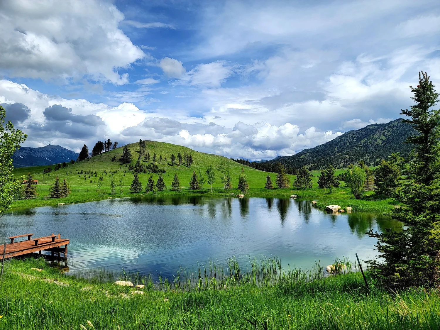 Mountain Ponds | Professional Pond Maintenance in Montana