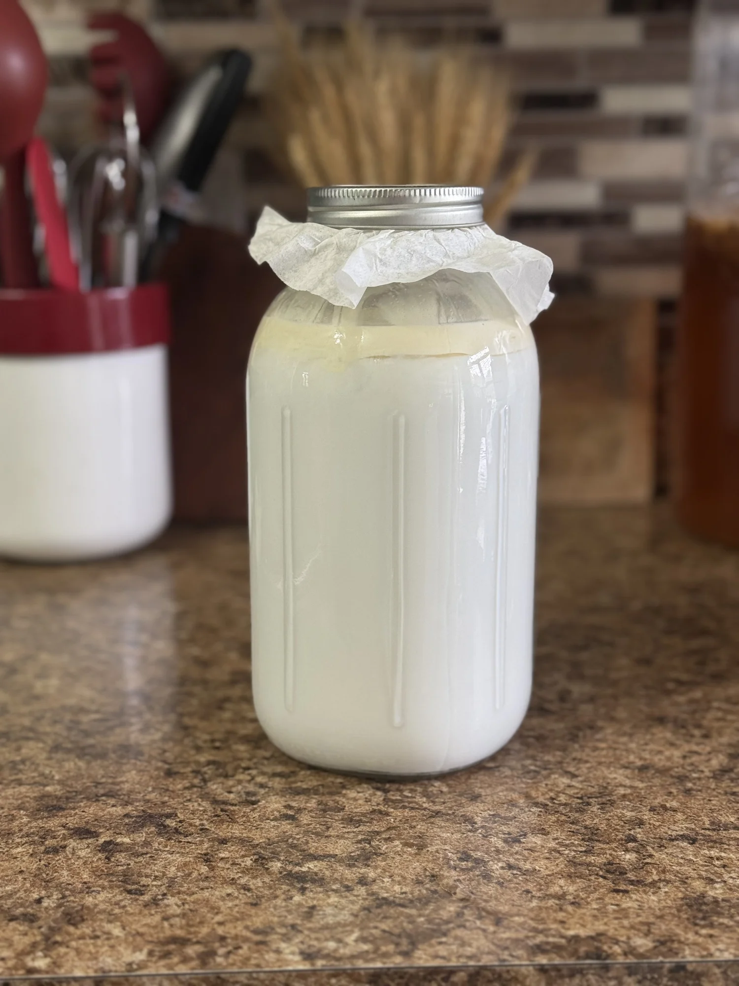 How to Make Milk Kefir: My Step-by-Step Guide — Nourish & Flourish