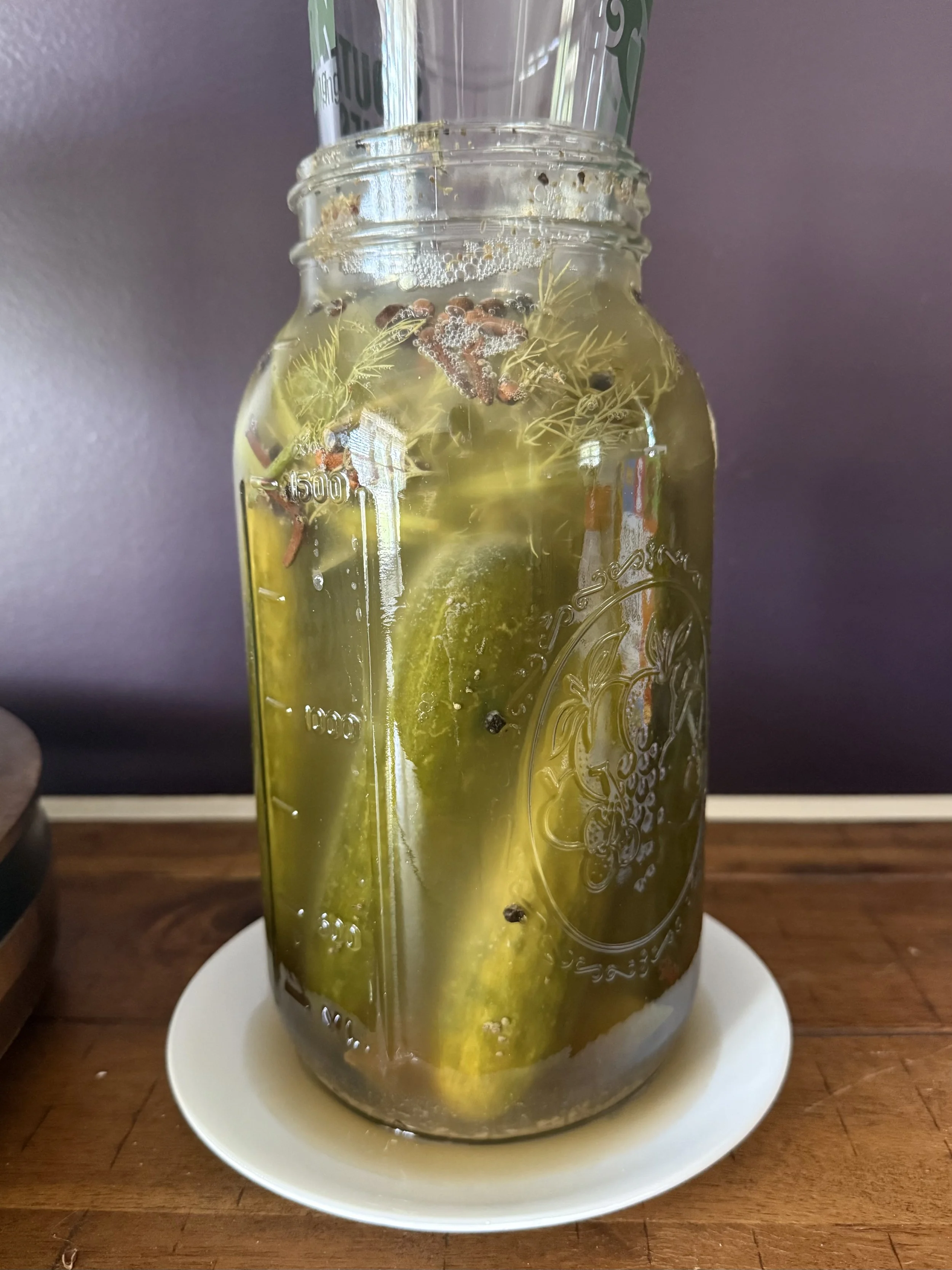 How to Make Fermented Pickles: My Step-by-Step Guide — Nourish & Flourish