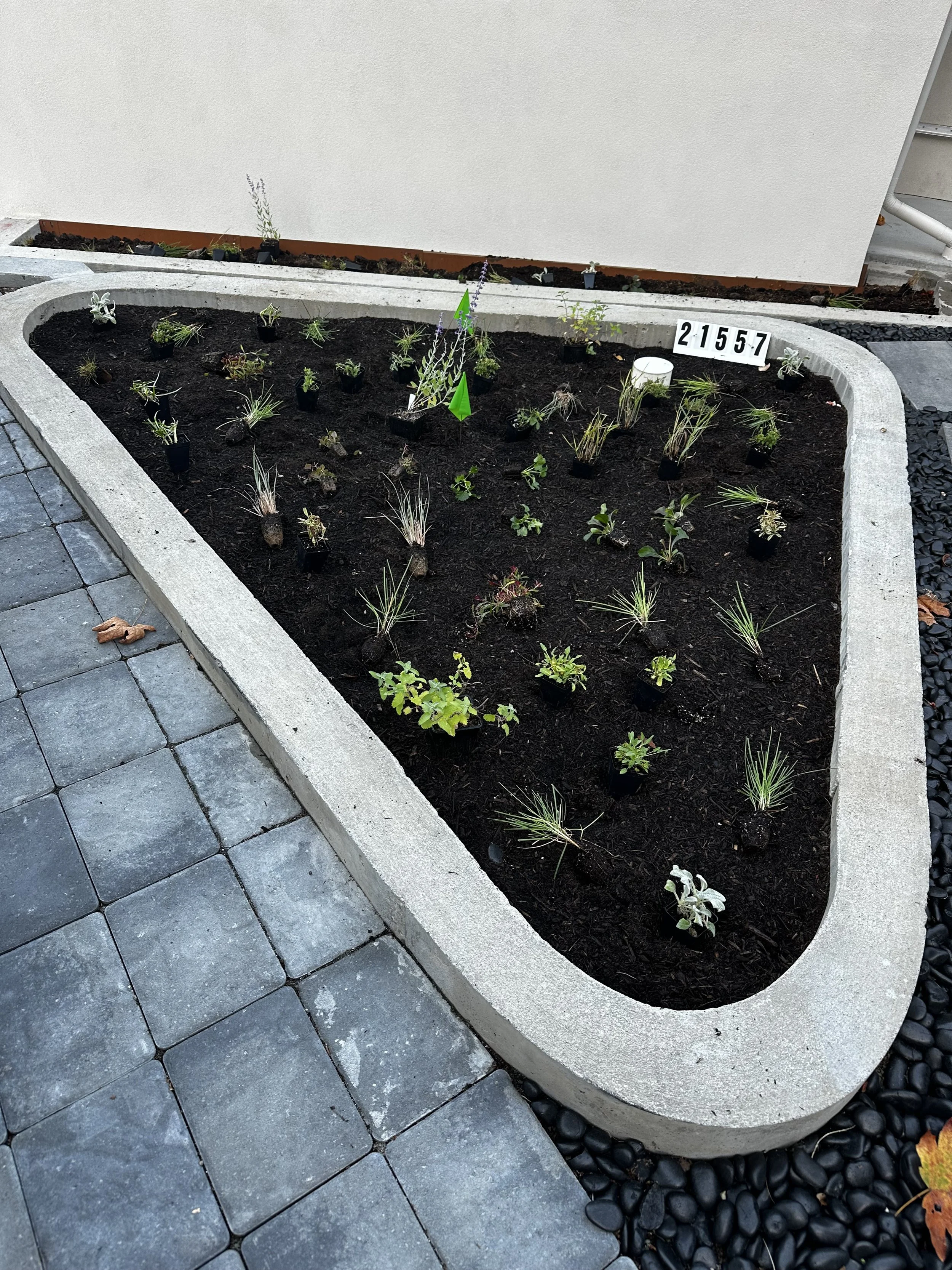 How Many Plants Does It Actually Take to Install a New Garden ...