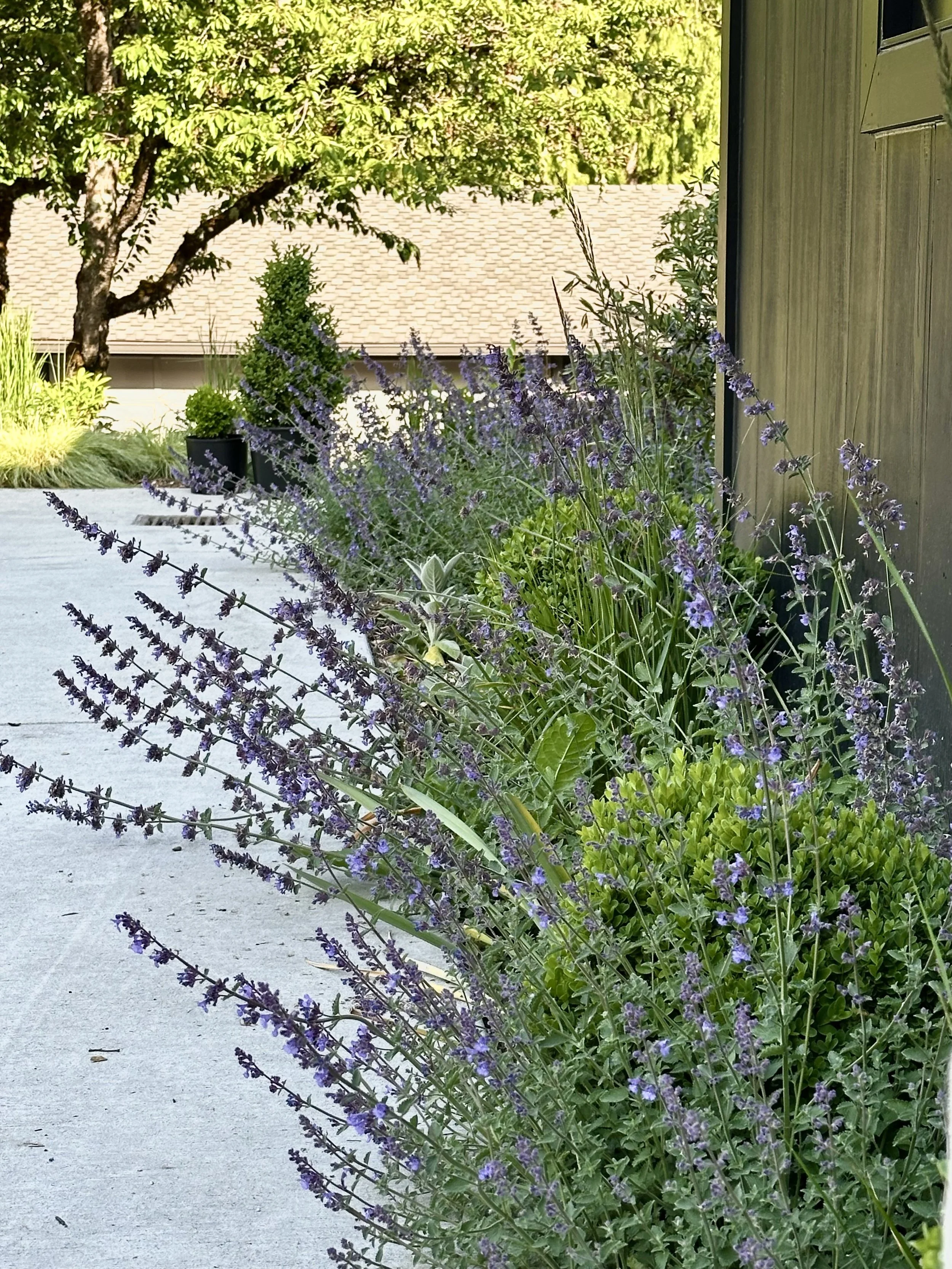 How Many Plants Does It Actually Take to Install a New Garden ...