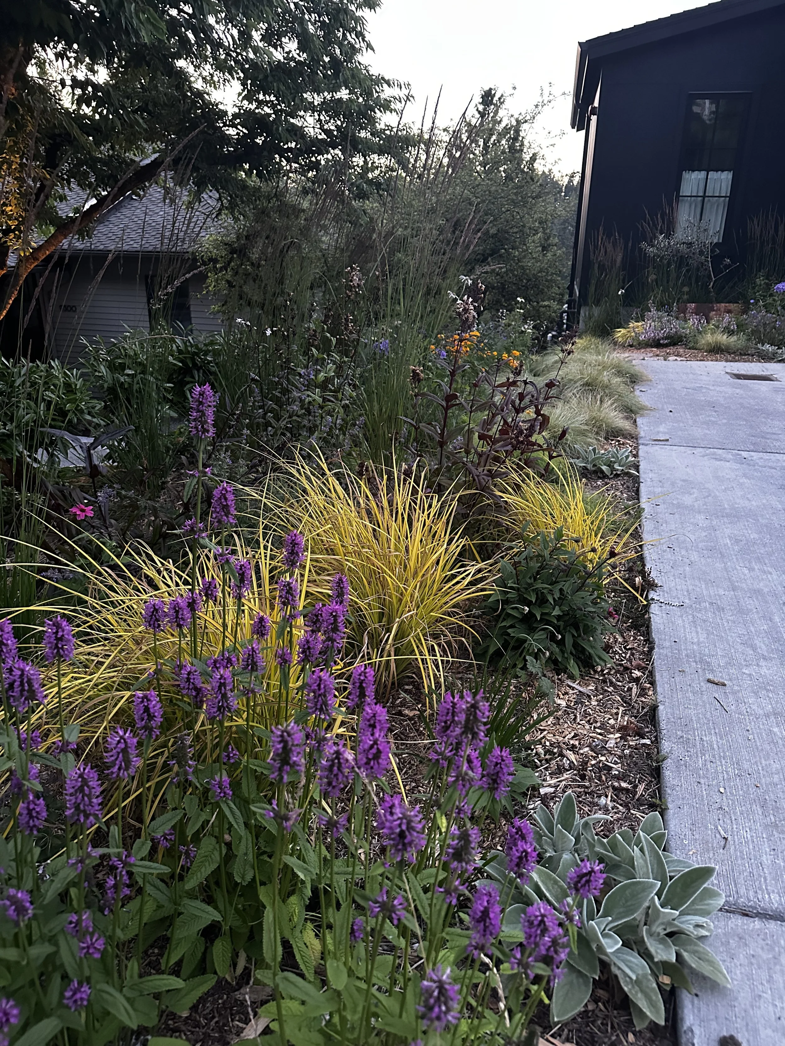 How I Convinced My Husband to Let Me Plant “All These Plants” (And Why ...