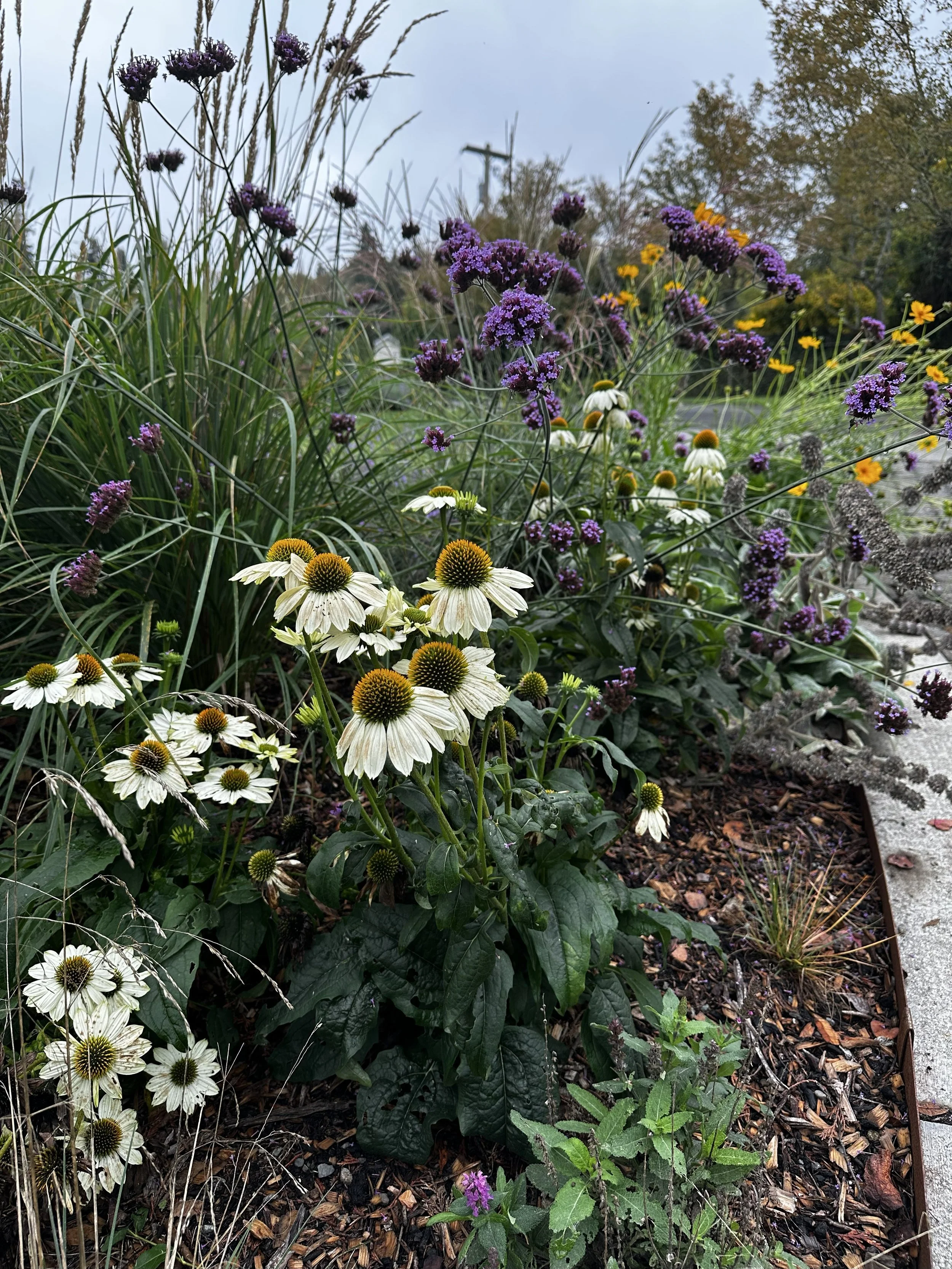 Seattle Garden Design Services — Seattle + Eastside Garden and ...