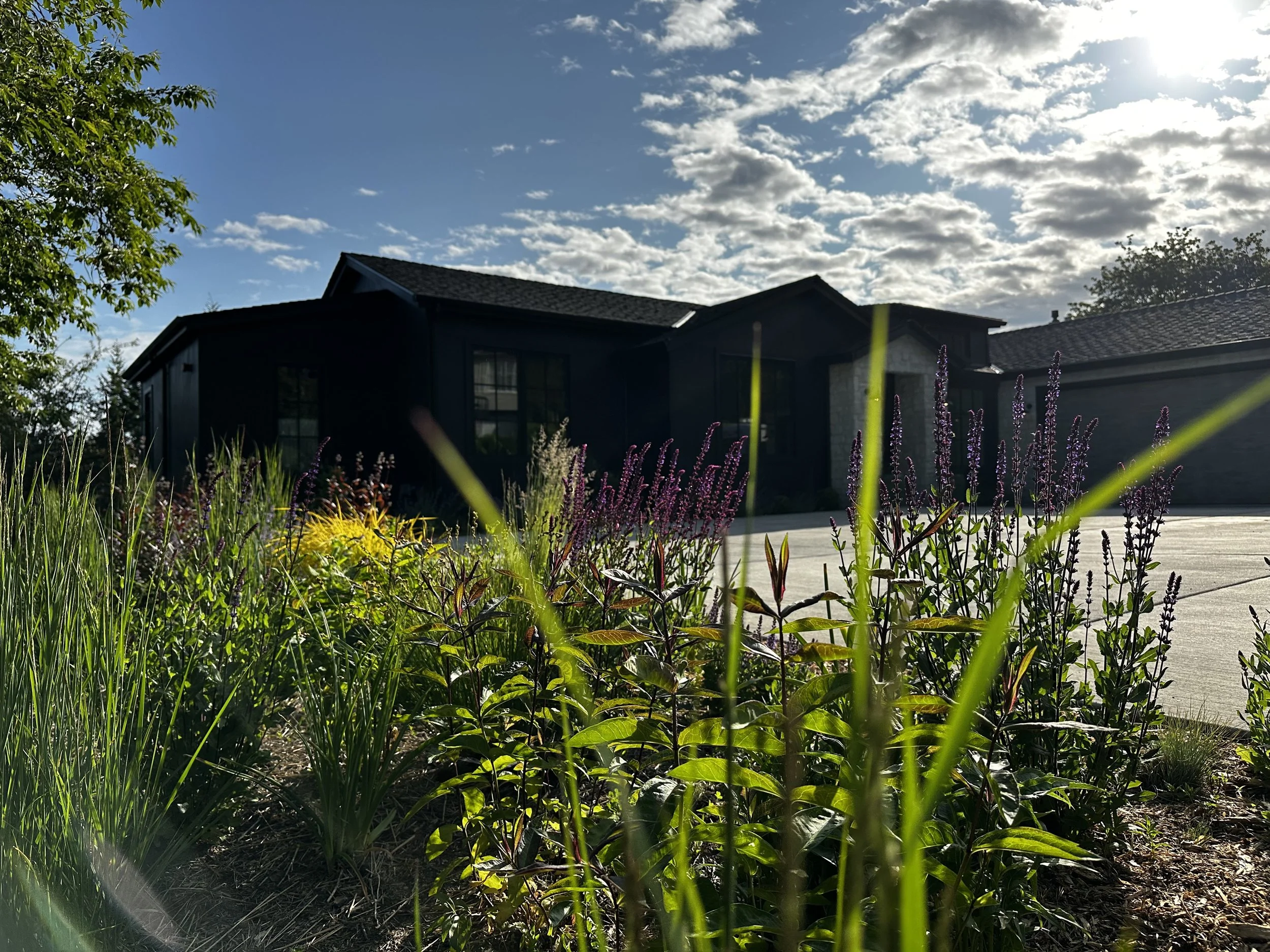 8 Reasons Most Seattle Gardens Fail After Year One (and how to design ...