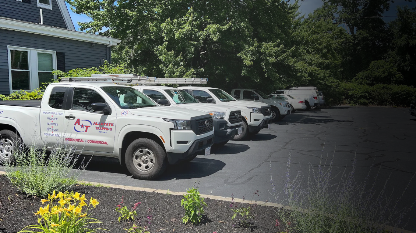 Allstate Trapping & Wildlife Exclusion