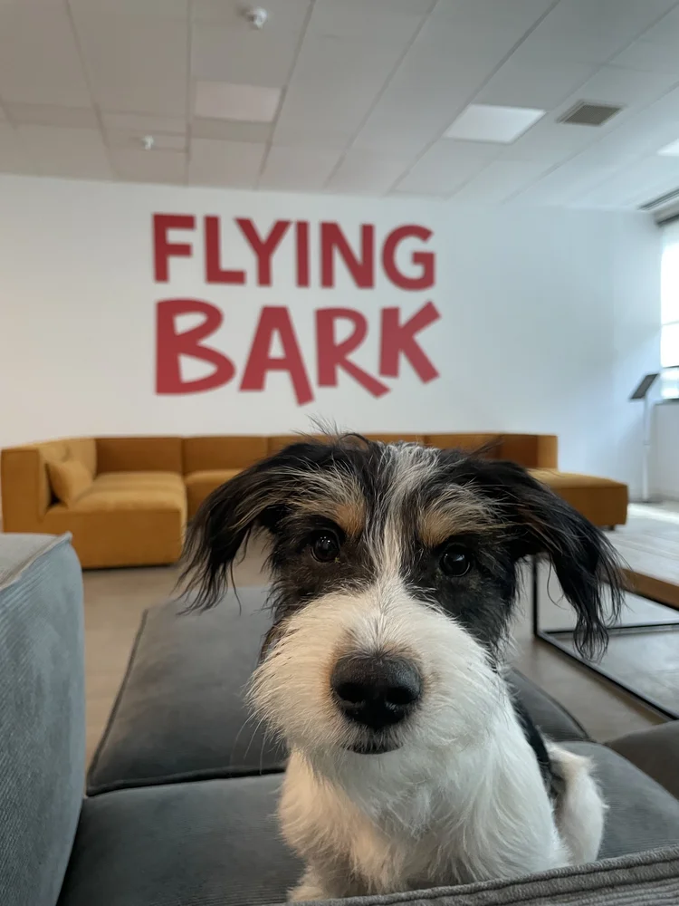Life at Flying Bark — Flying Bark Productions