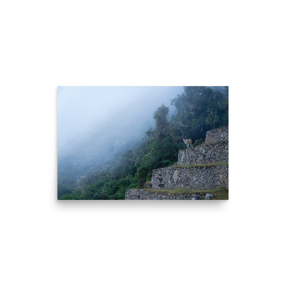 The Approach — CS Ko Photography