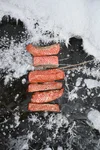 Stickleback Fish Company