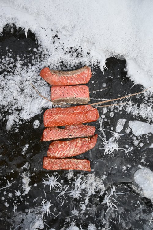 Stickleback Fish Company