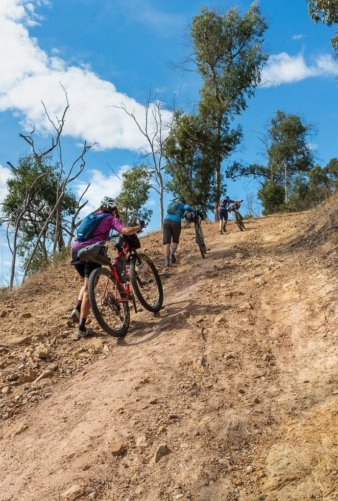 Riding the Mawson Trail in South Australia — Find the Fun Apps