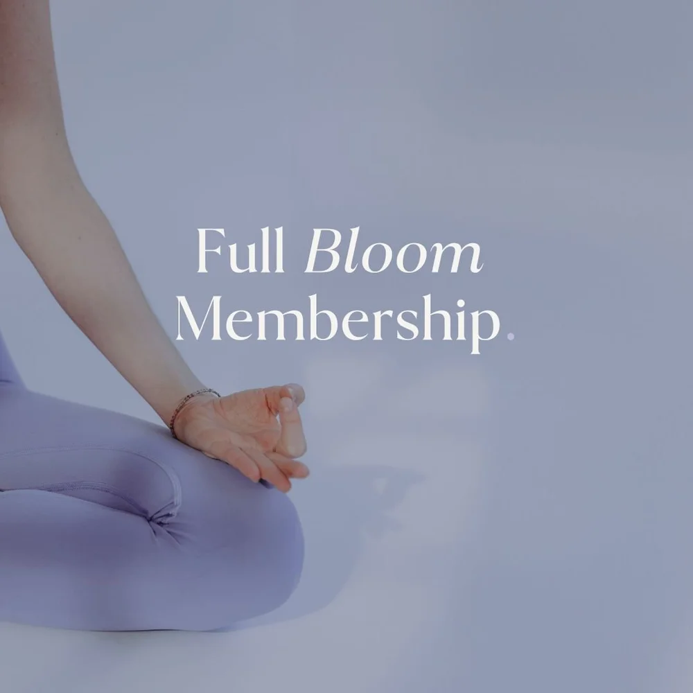 bloom studio