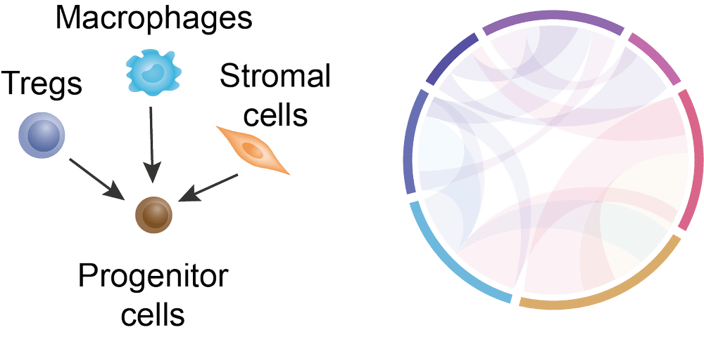 Research — Muñoz-Rojas Lab